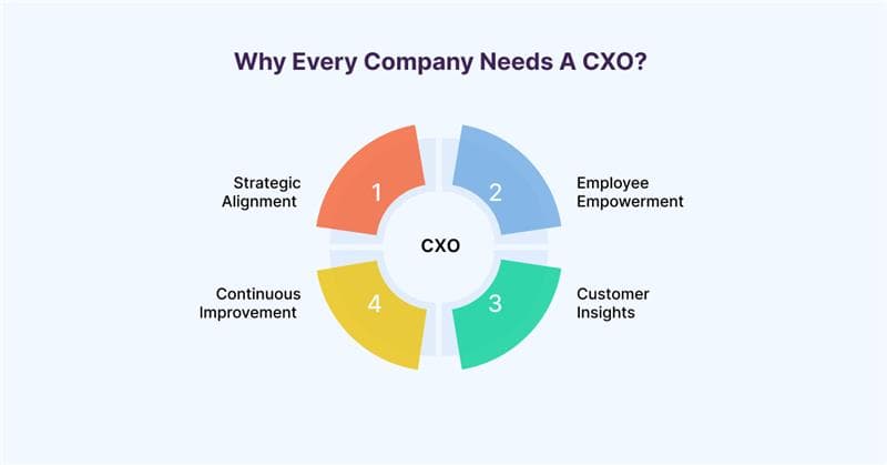 Chief Experience Officer (CXO) - The C-Suite Edit